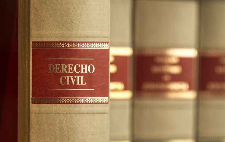 El Código Civil de Napoleón: claves de su trascendencia histórica