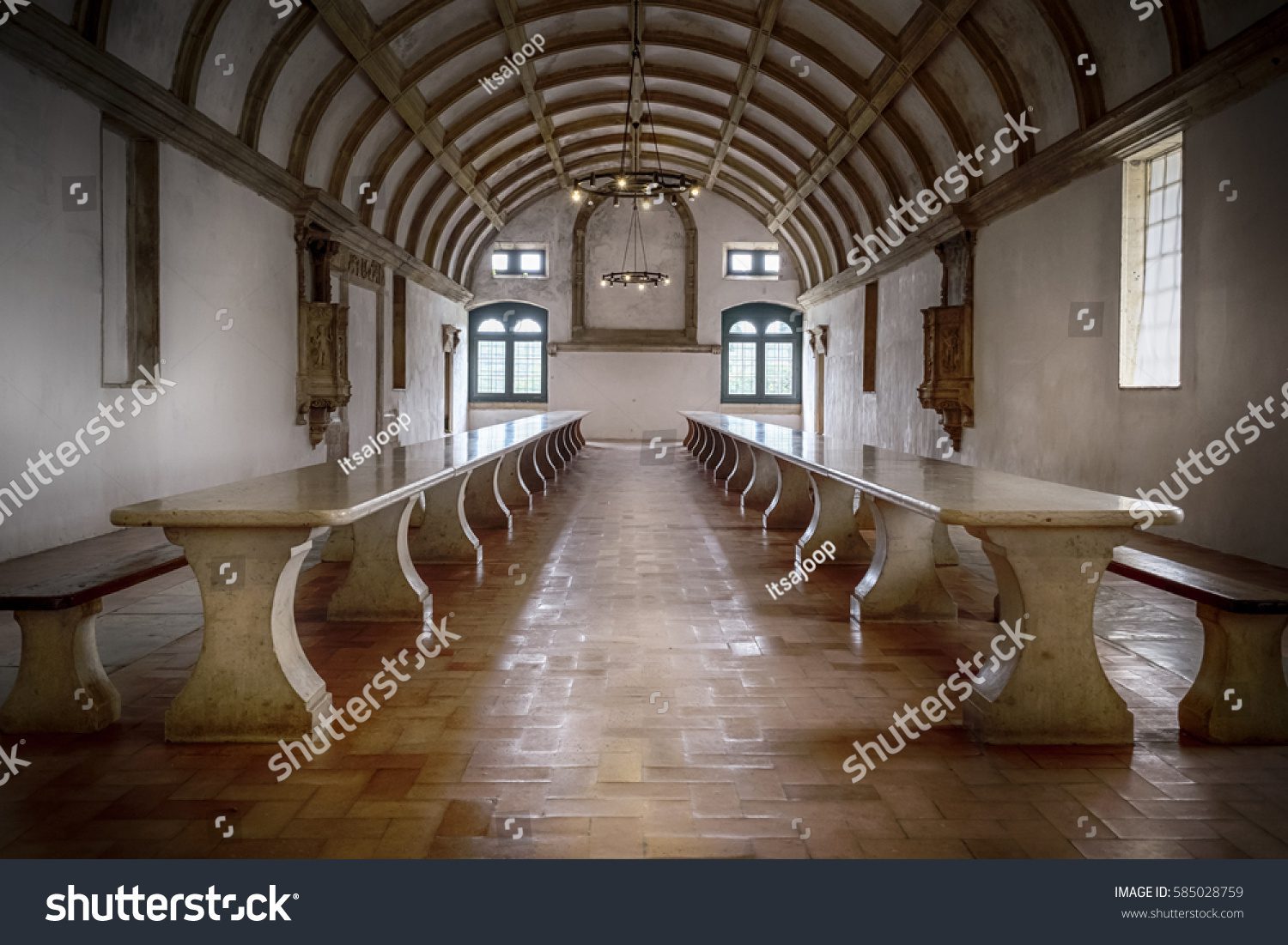 Australopithecus: Los primeros homínidos bípedos y sus características