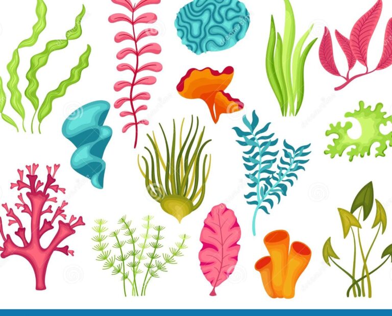Plantas marinas: descubre especies fascinantes y sus nombres